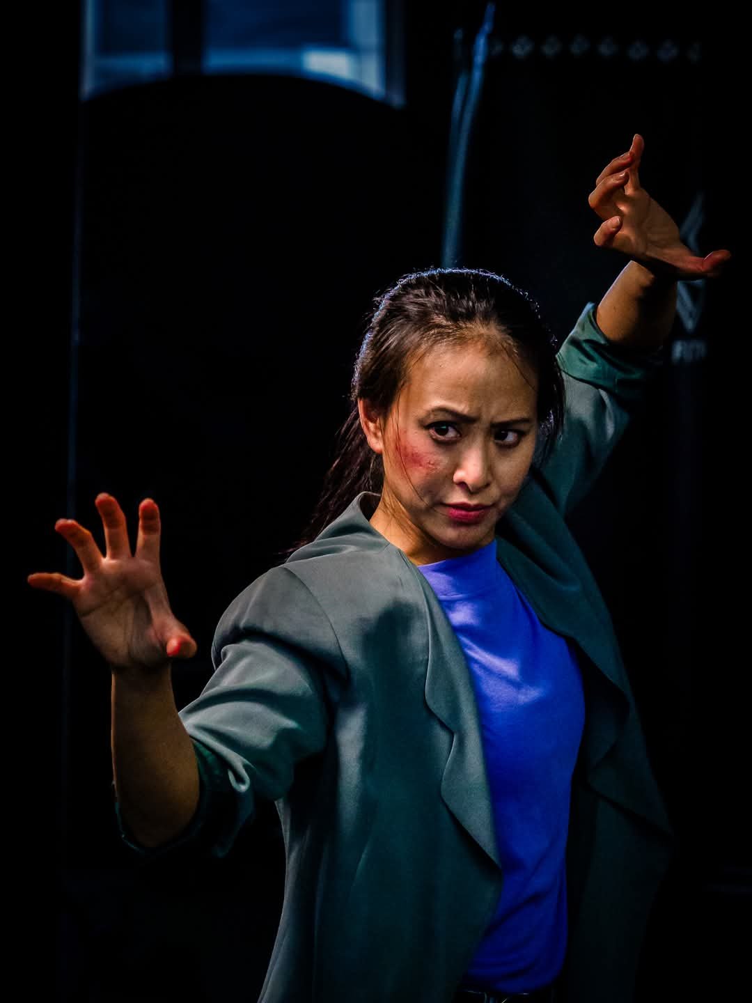 TIGER COP: PROJECT A Premiere: It’s Maria Tran VS Richard Norton In An ...